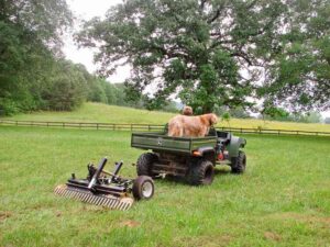 Arena Rascal Pro - ABI Attachments